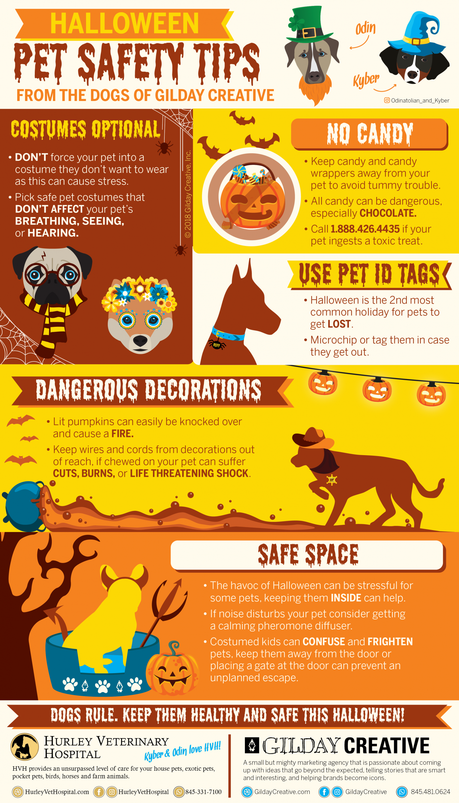 Halloween Pet Safety Infographic Designed By Gilday Creaive Inc Halloween Pet Safety Infographic Designed By Gilday Creaive Inc