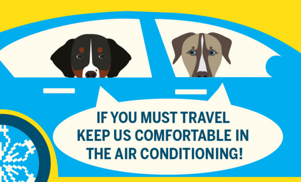 Summer Pet Safety Infographic - Gilday Creative, Inc.